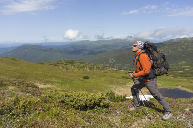 Sommer, Der in Den Bergen Mit Einem Rucksack Wandert Stockfoto - Bild ...