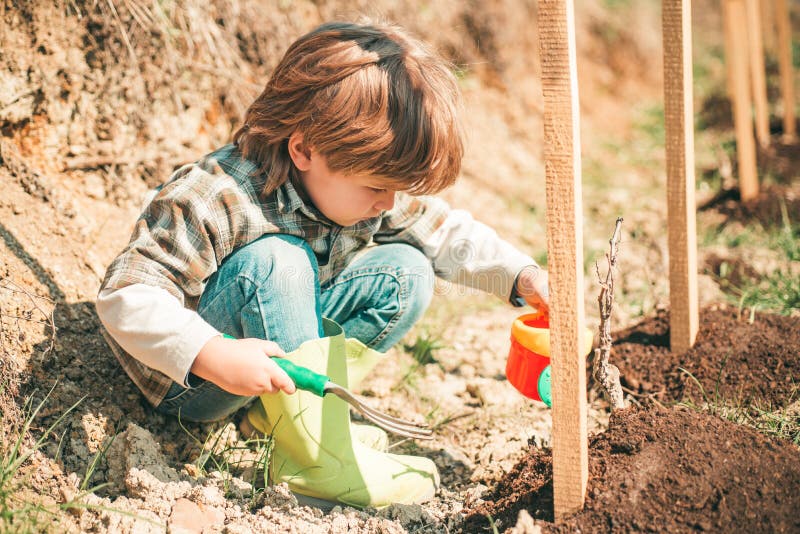 Son Grows Flowers. Happy Little Gardener with Spring Flowers. Stock ...