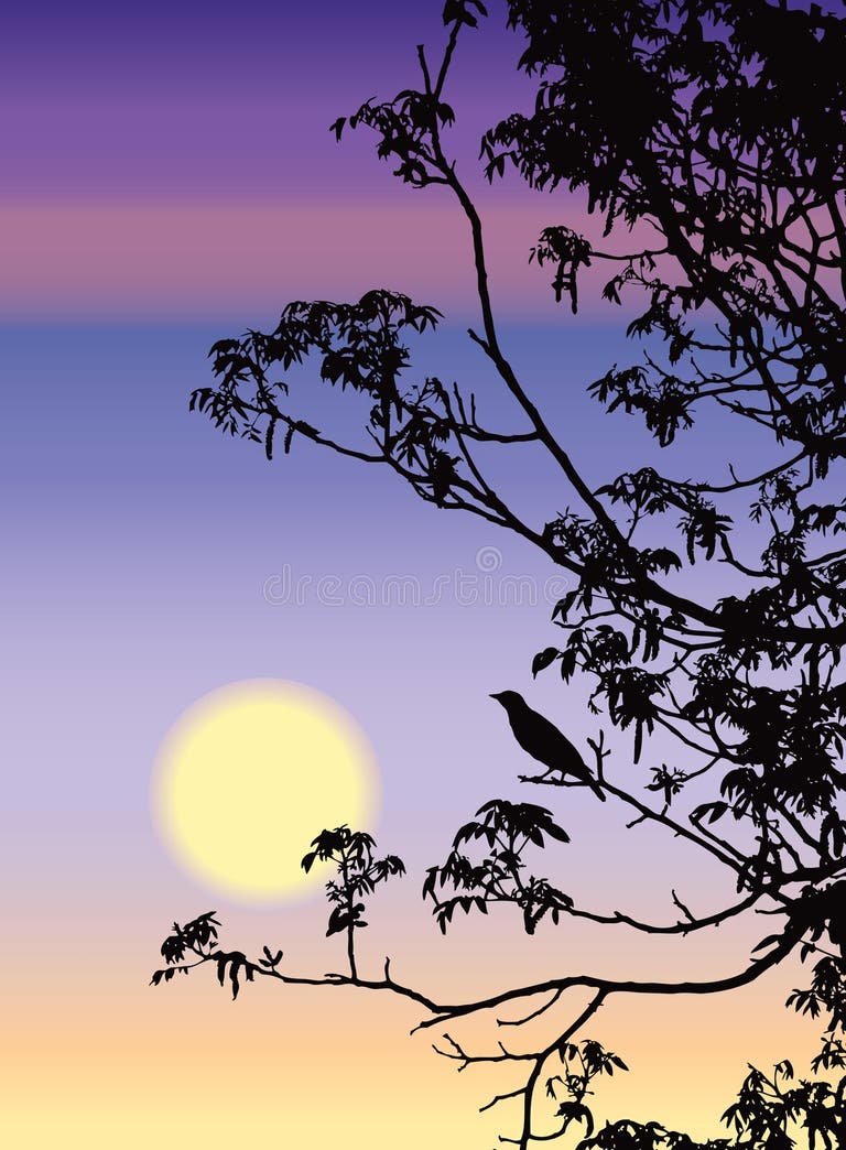 Sunrise Song Stock Illustrations – 142 Sunrise Song Stock Illustrations ...