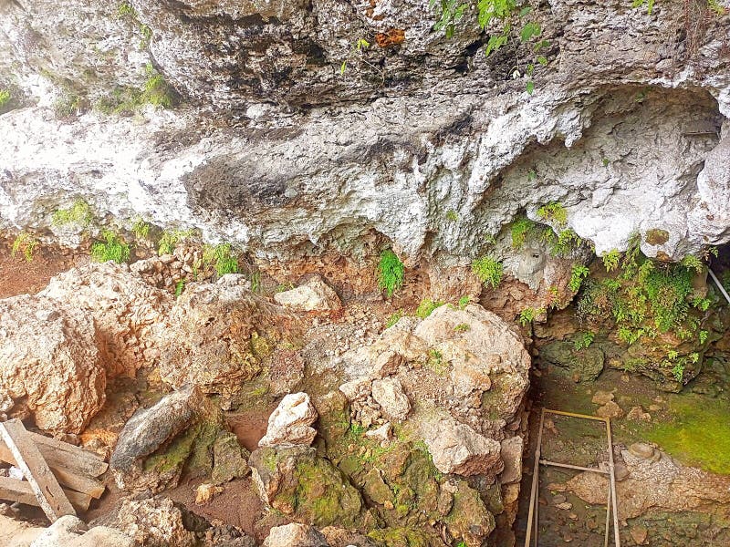 Song Terus Cave, Pacitan, East Java, Indonesia Stock Photo - Image of ...