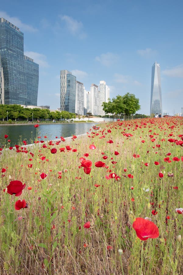 Songdo Central Park in the Songdo District of Incheon, South Korea ...