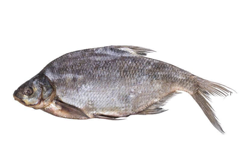 Sonnengetrockneter Brachsen Auf Einem Weißen Hintergrund Stockbild ...