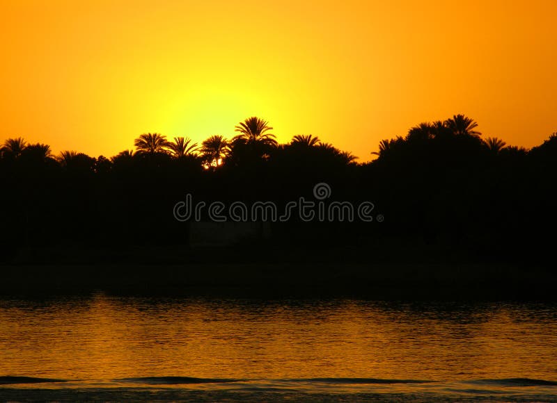 Sunset in Egypt on the Nile with Palm Trees in the Background As a ...