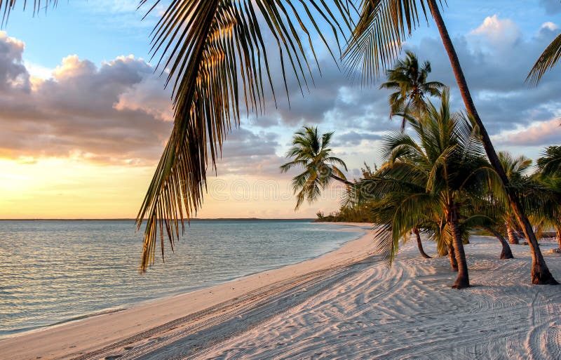 Sonnenuntergang am Strand Bei Den Bahamas Stockbild - Bild von gold ...