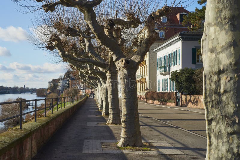 Black Sonny Angel Wallpaper Stock Photos - Free & Royalty-Free Stock ...