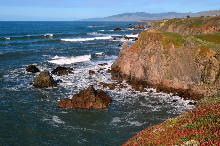 8,040 Towey Bodega Stock Photos - Free & Royalty-Free Stock Photos from ...