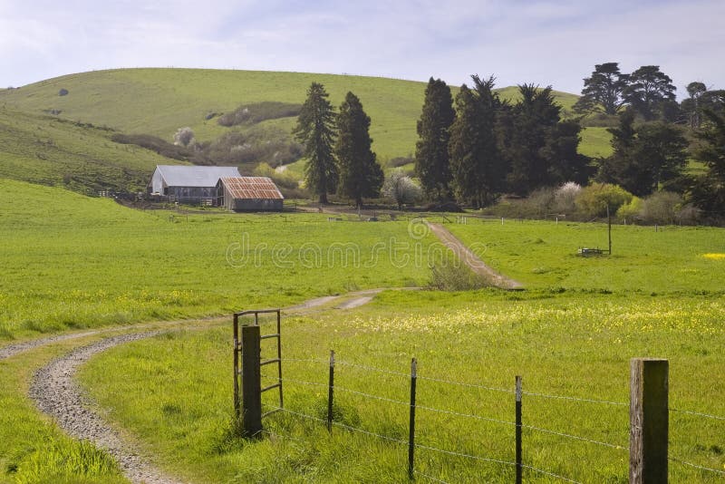 Sonoma County Ranch stock photo. Image of fence, farming - 28909430