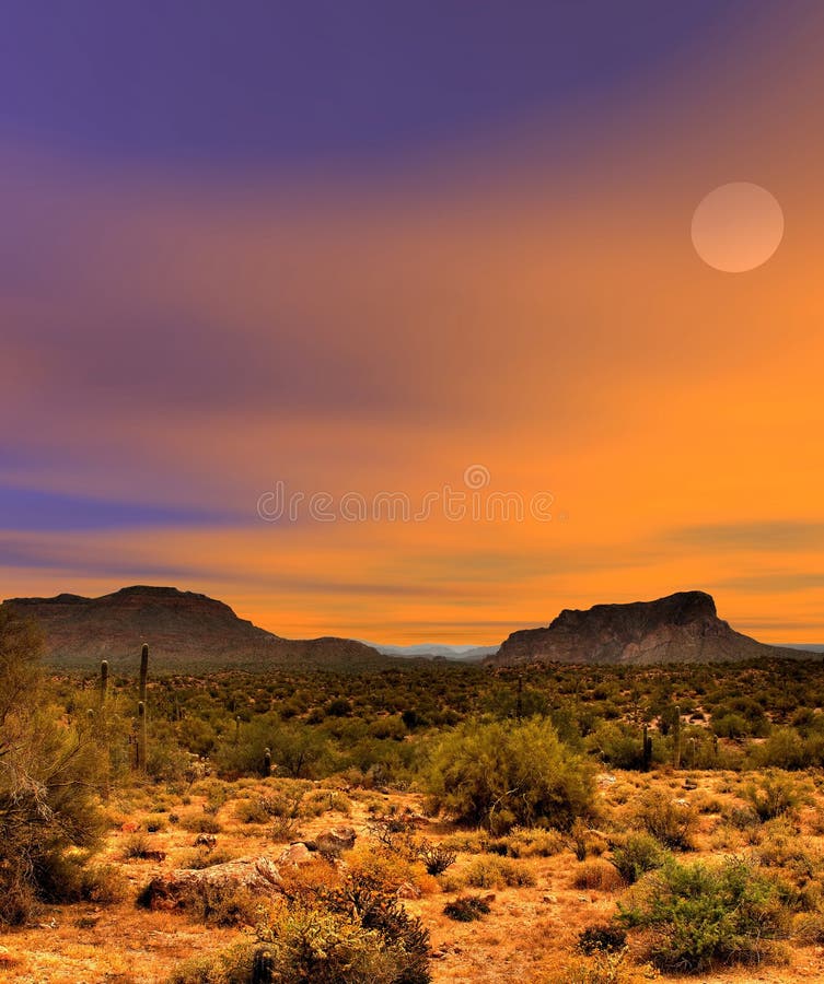 Sonora Desert Sunset stock image. Image of desert, outdoors - 63322929