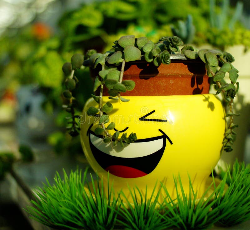 Graphics893 - Photographer profile