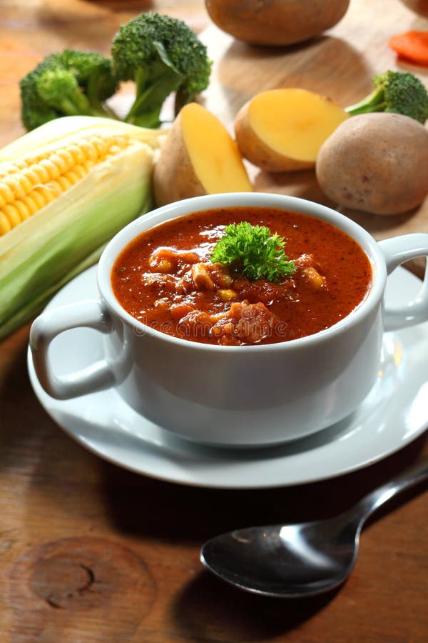 Sopa foto de archivo. Imagen de preparado, cocina, cebolla - 17451132