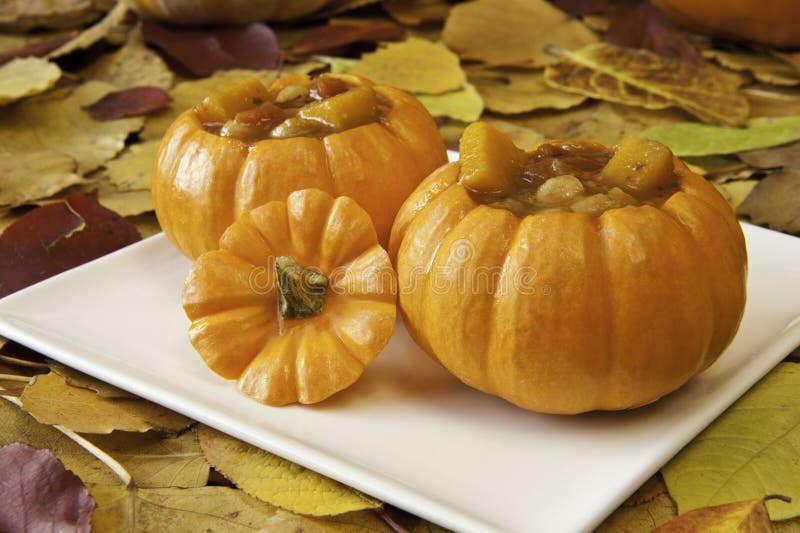 Sola calabaza del otoño imagen de archivo. Imagen de octubre - 23426467