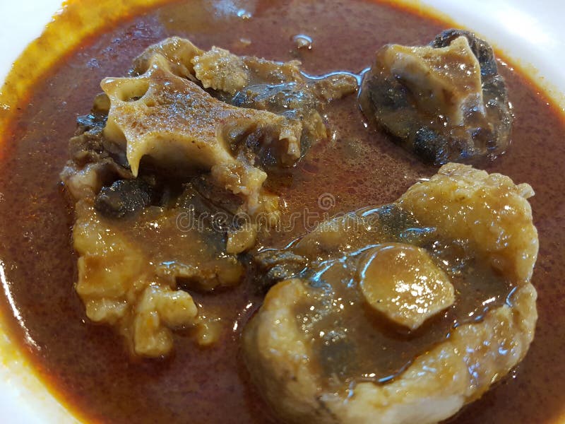 Sopa de la cola del buey foto de archivo. Imagen de ingrediente - 16187314