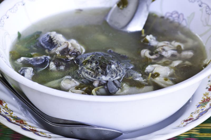 Estilo De La Comida De Tailandia De La Sopa De La Rana Foto de archivo ...