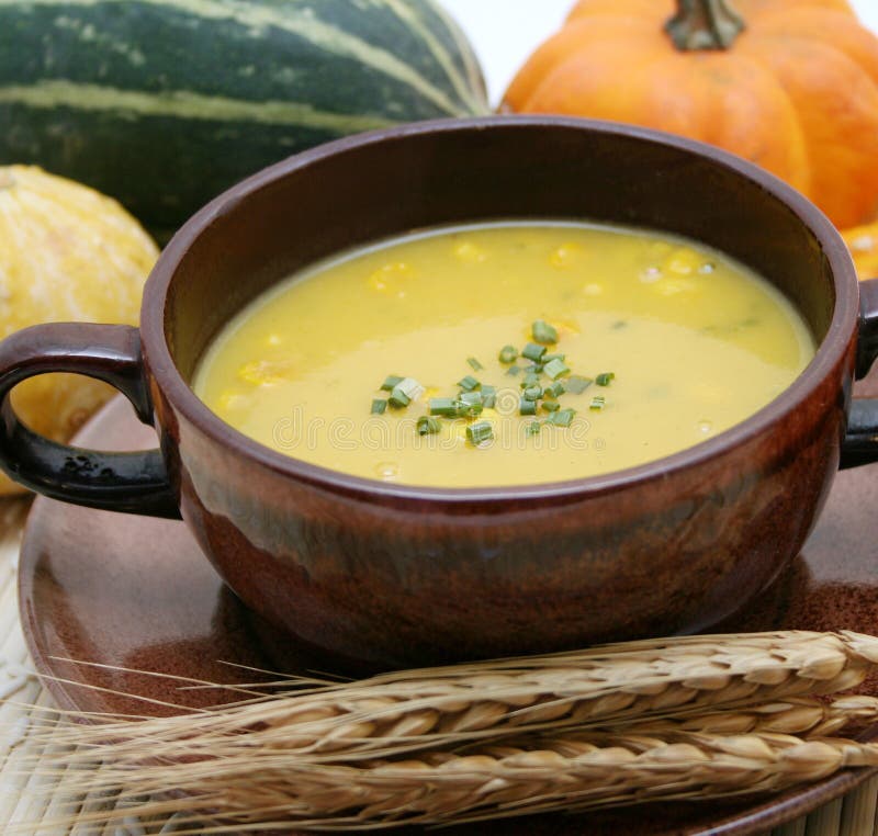 Sopa fresca imagen de archivo. Imagen de sano, fresco - 8214129