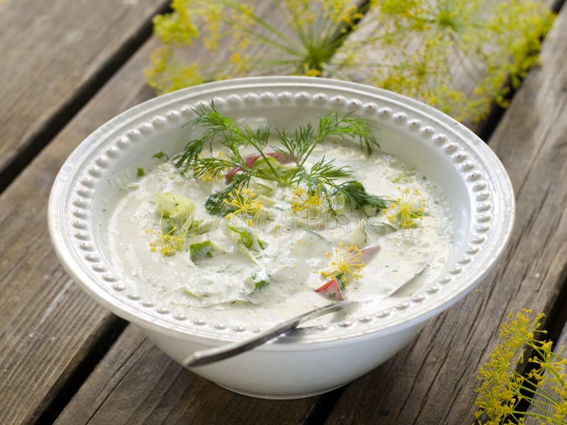 Sopa fria foto de stock. Imagem de aperitivo, refrescamento - 33012688