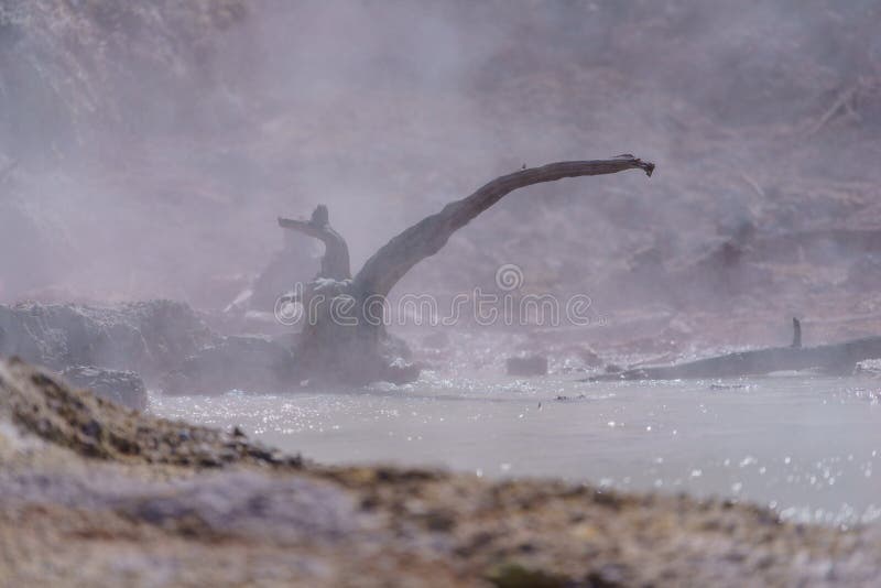 189 Sopa Primitiva Fotos de stock - Fotos libres de regalías de Dreamstime