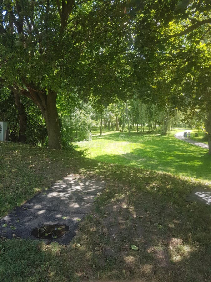 Soper park walk stock photo. Image of beautiful, tree - 192046274