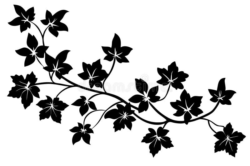 Ornate Black and White Vine with Leaves Design Stock Vector ...