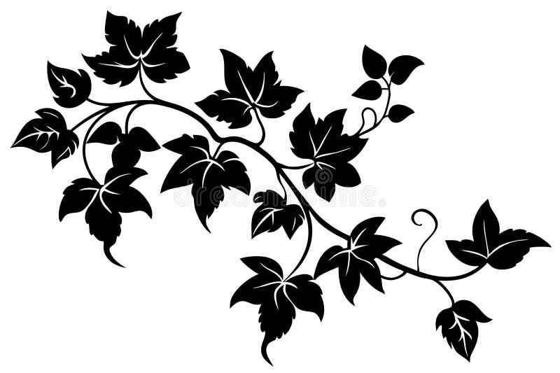 Ornate Black and White Vine with Leaves Design Stock Vector ...