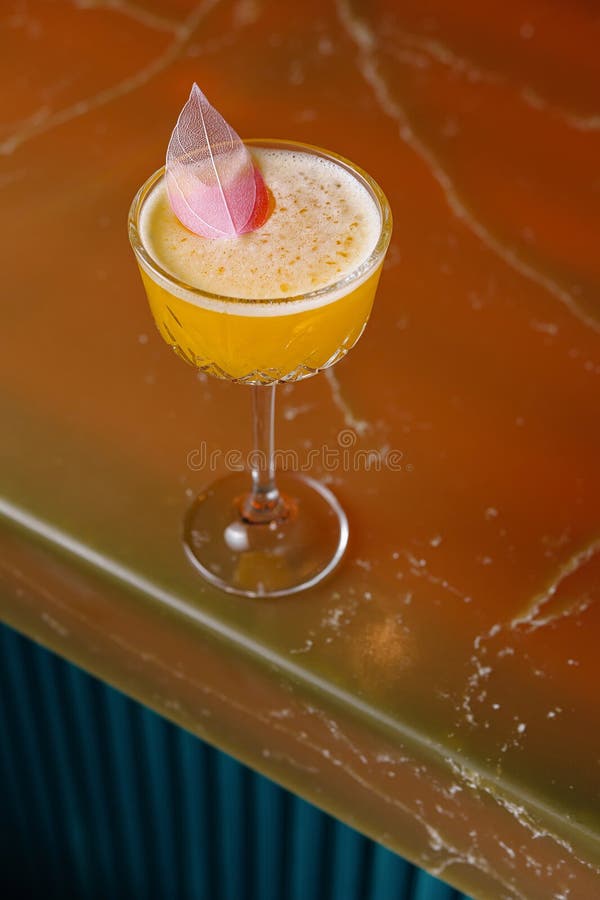 Elegant Cocktail with Decorative Leaf on Bar Counter Stock Image ...