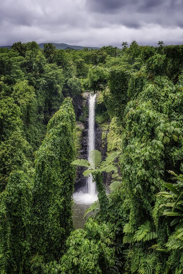 Sopoaga Falls stock photo. Image of lush, fall, upolu - 64506022