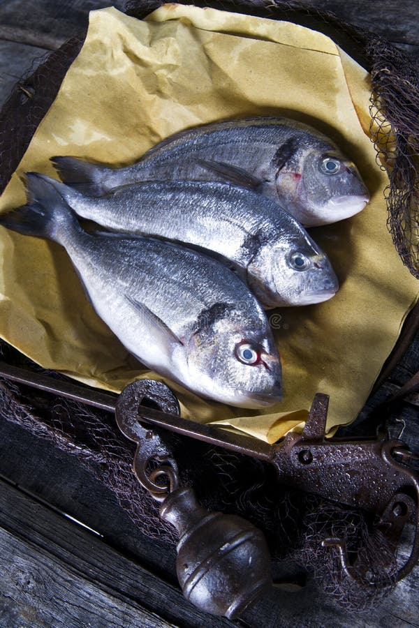 Sopra le squame dell'orata fotografia stock. Immagine di vita - 34089966