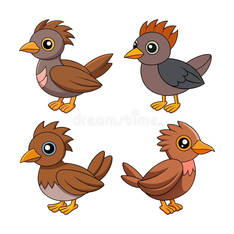 Sora Bird Realistic Illustration Stock Vector - Illustration of graphic ...