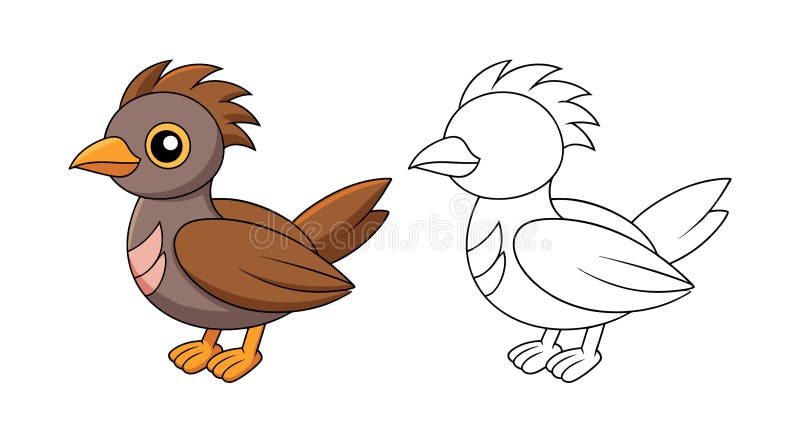 Sora Bird Realistic Illustration Stock Illustration - Illustration of ...