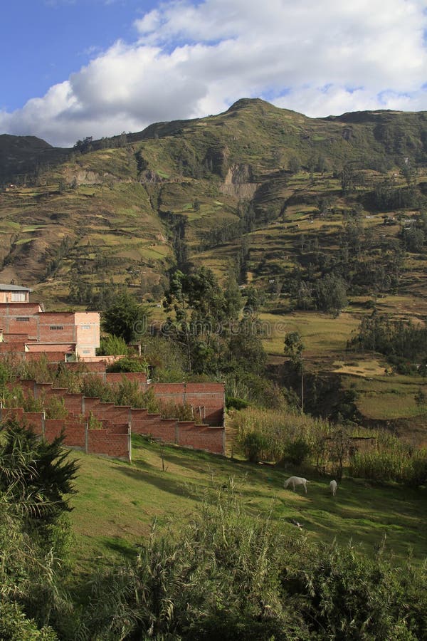 Sorata, Bolivia stock photo. Image of tree, shrubs, road - 55441288