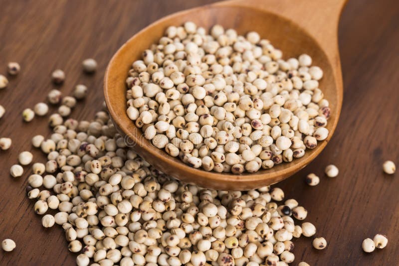 Sorghum, rice stock photo. Image of chinese, grain, yellow - 55946142