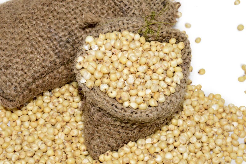 The sorghum seeds stock photo. Image of sorghum, food - 254145426