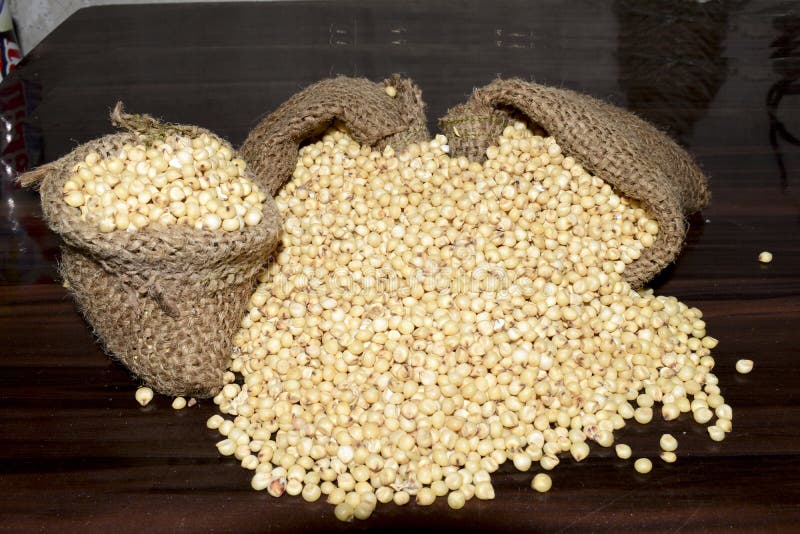 The sorghum seeds stock photo. Image of sorghum, food - 254145426