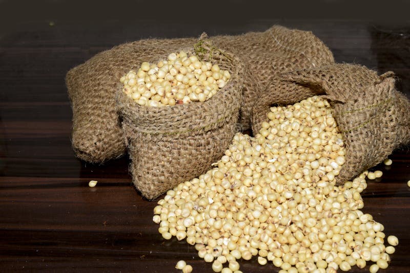 The sorghum seeds stock photo. Image of sorghum, food - 254145426