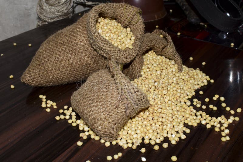 The sorghum seeds stock photo. Image of sorghum, food - 254145426
