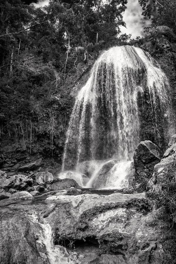 The Soroa Waterfall among Lush Tropical Vegetation in Cuba Stock Photo ...