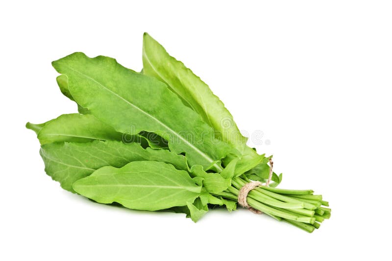 Raspberry stock photo. Image of fresh, outdoor, berries - 268678