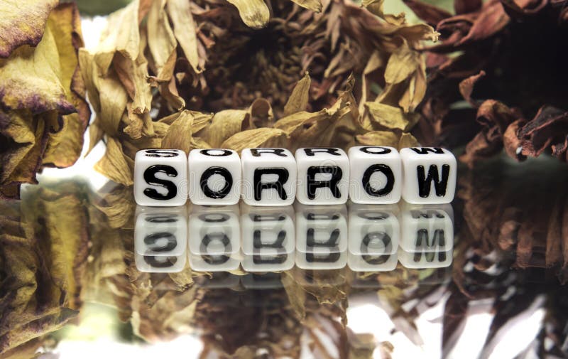 Sorrow stock image. Image of plant, rose, nature, love - 37714203