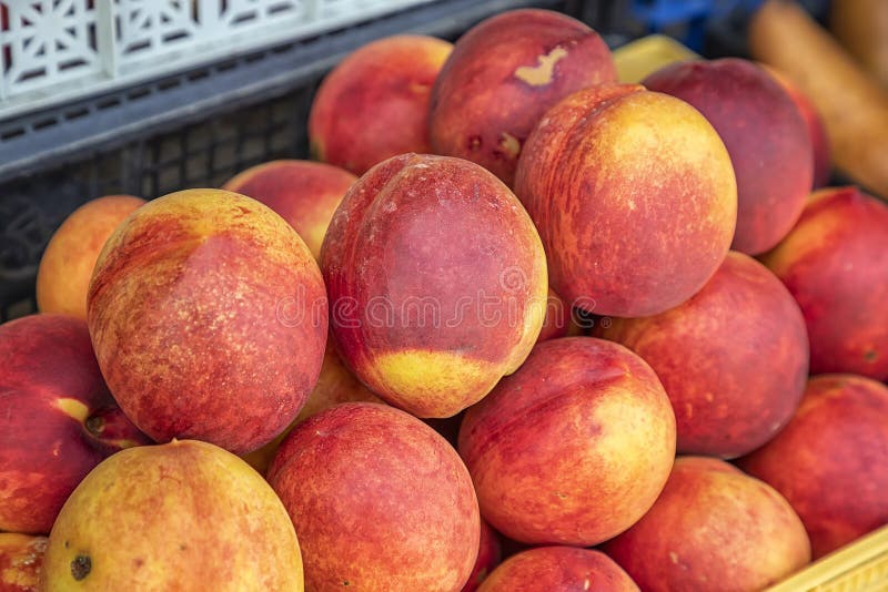 Sorted Sweet Peach Fruits at the Market. Stock Image - Image of ...