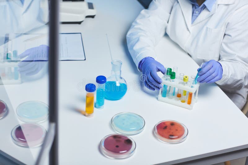 Sorting biological samples stock photo. Image of chemistry - 250435630