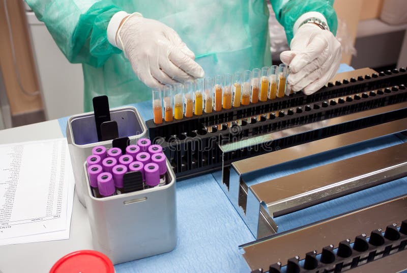 Sorting Blood Tubes into Racks in the Analysis Laboratory Editorial ...