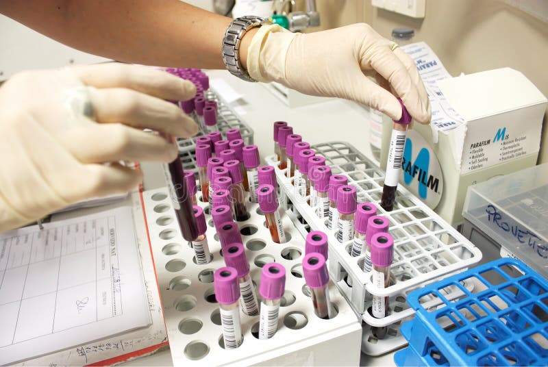 Sorting Blood Tubes into Racks in the Analysis Laboratory Editorial ...