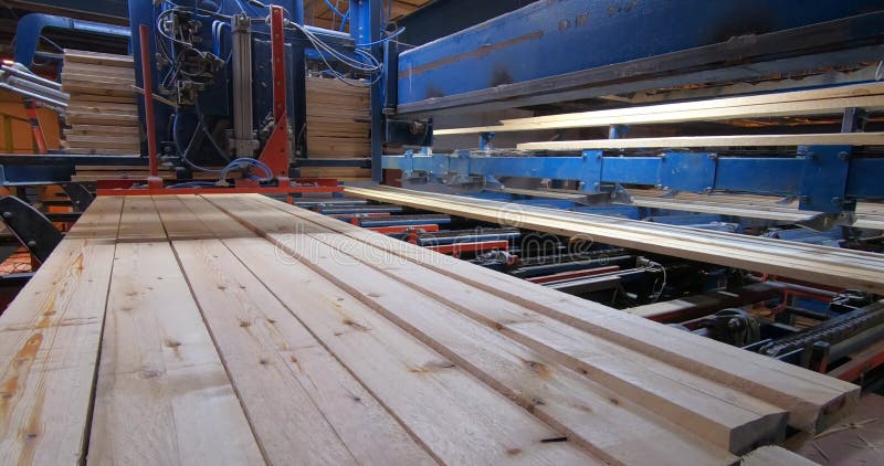 Sorting Boards at a Woodworking Enterprise. Stock Video - Video of ...