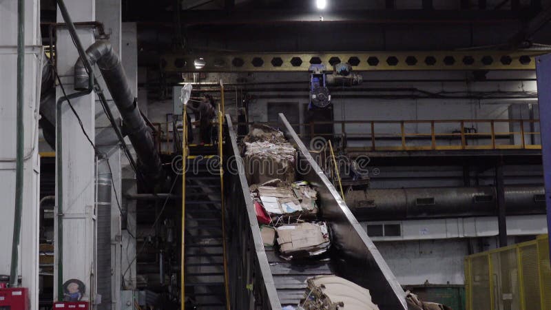 Sorting of Cardboard for Further Processing. Recycling Plant Stock ...