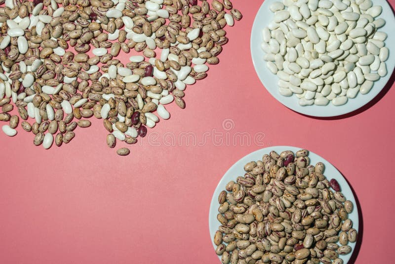 Sorting Concepts. Mixture of White and Brown Beans on Table. Sorting ...