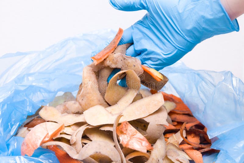 Sorting garbage stock image. Image of ingredient, meal - 165988285