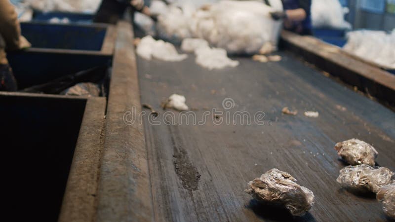 Manual Sorting of Waste for Further Waste Recycling, Manual Labor ...
