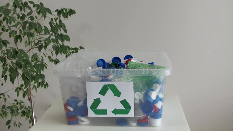 Man Sorting Plastic Drink Bottle Caps and Lids Recyclable Materials for ...