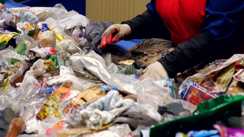 Sorting Process at a Recycling Plant, Close Up. Stock Video - Video of ...