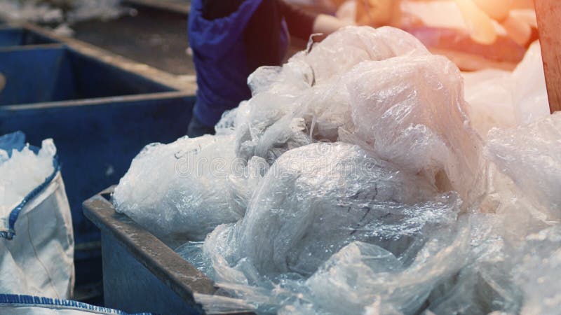 Sorting and Recycling of Garbage, Cellophane, Workers Sort Garbage in a ...