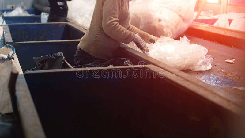 Sorting and Recycling of Garbage, Cellophane, Workers Sort Garbage in a ...